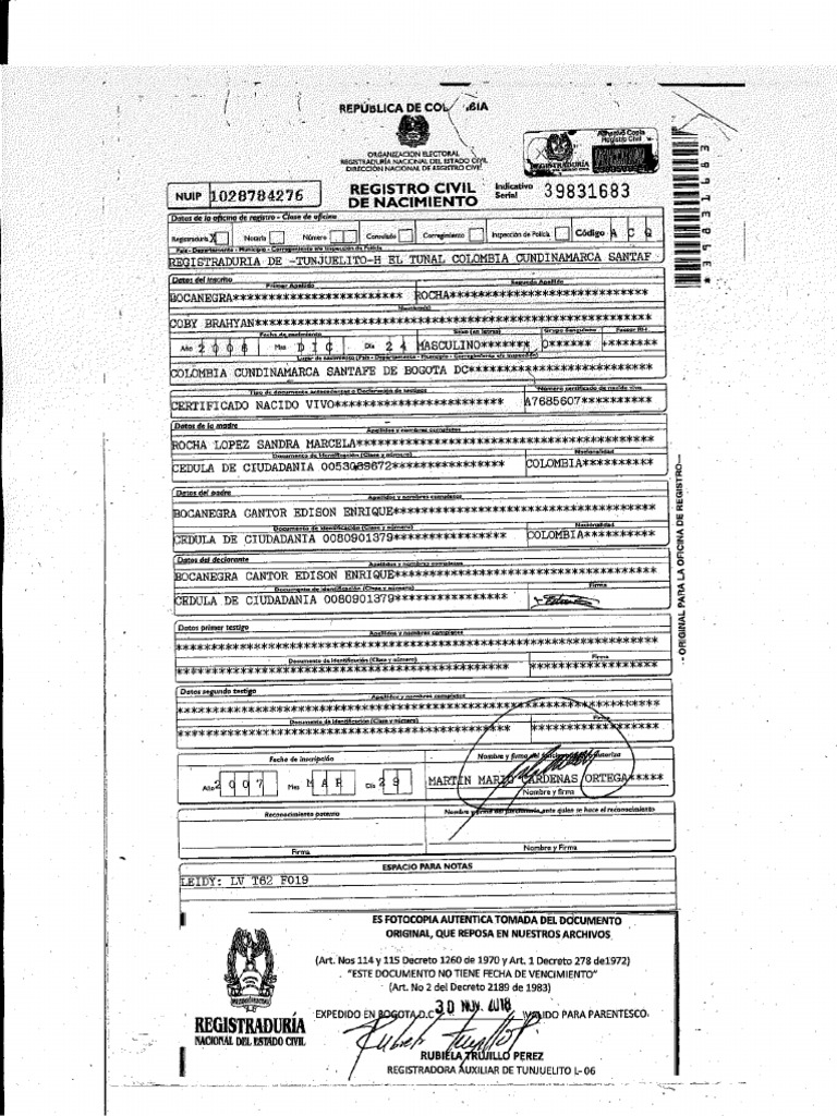 Sandra Rocha 1 | PDF