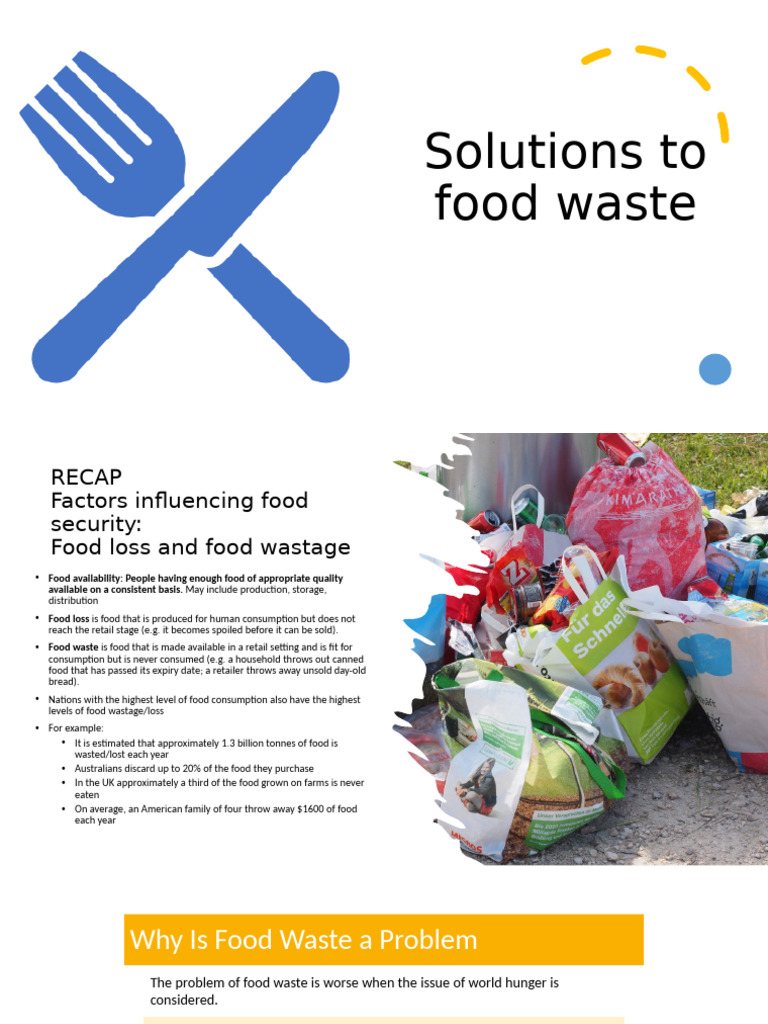 1.1 Solutions To Food Insecurity | PDF