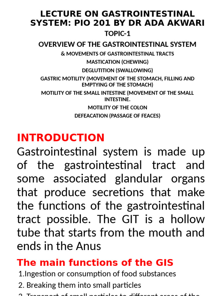 Lecture On Gastrointestinal System | PDF | Esophagus | Gastrointestinal ...