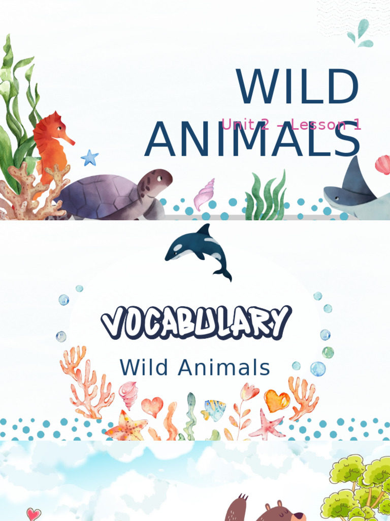 Lesson 11 - Topic 6 - Wild Animals | PDF