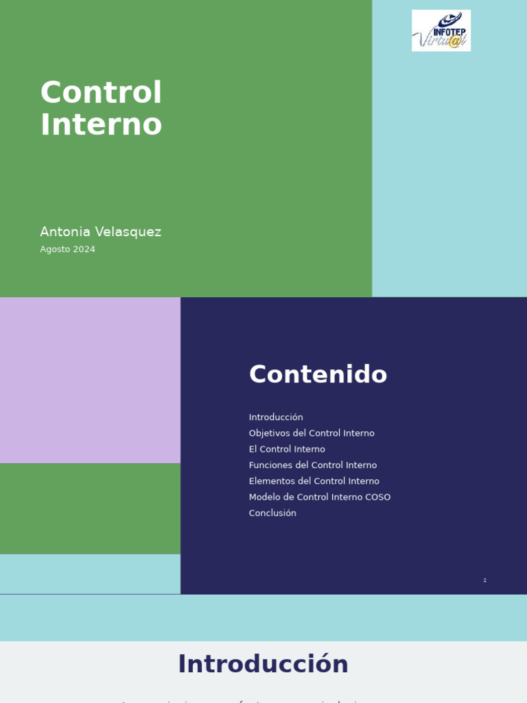 Control Interno | PDF
