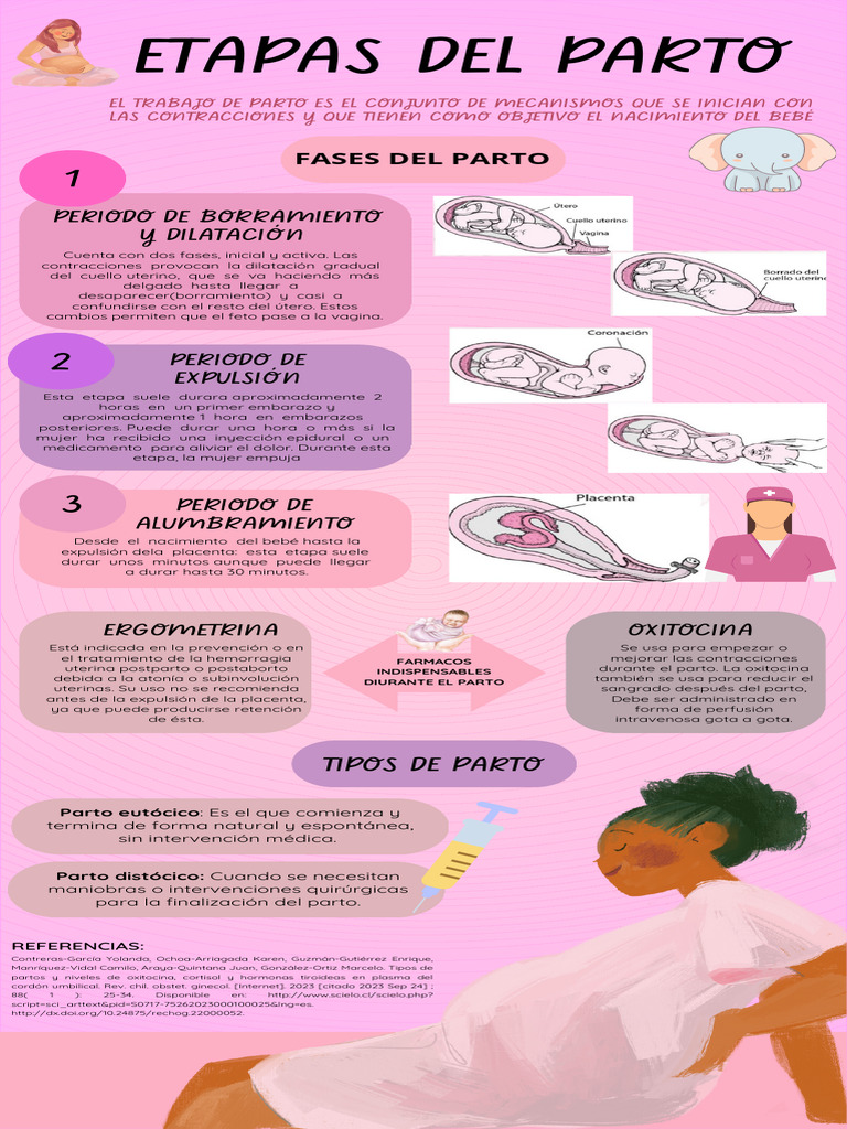 Infografia de Etapas Del Parto | PDF