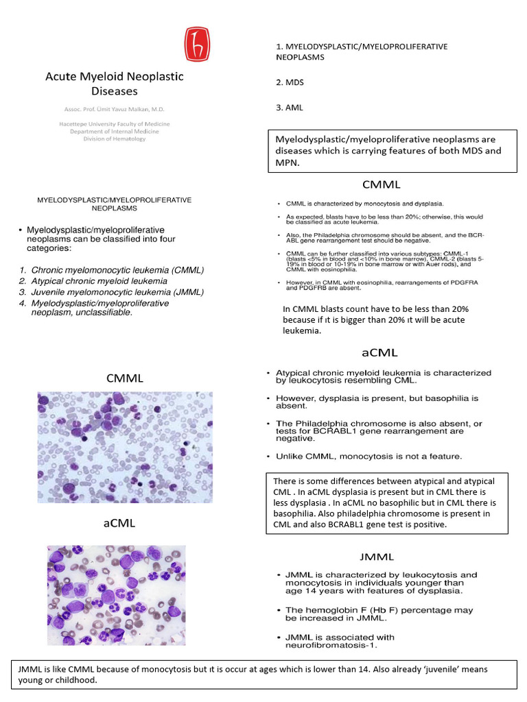 Myelodysplastic/myeloproliferative Neoplasms Are Diseases Which Is ...