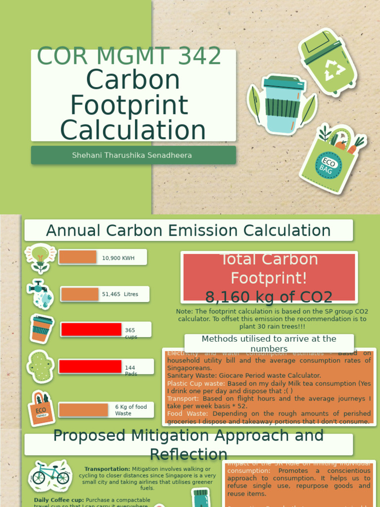 Carbon Footprint Calculation | PDF