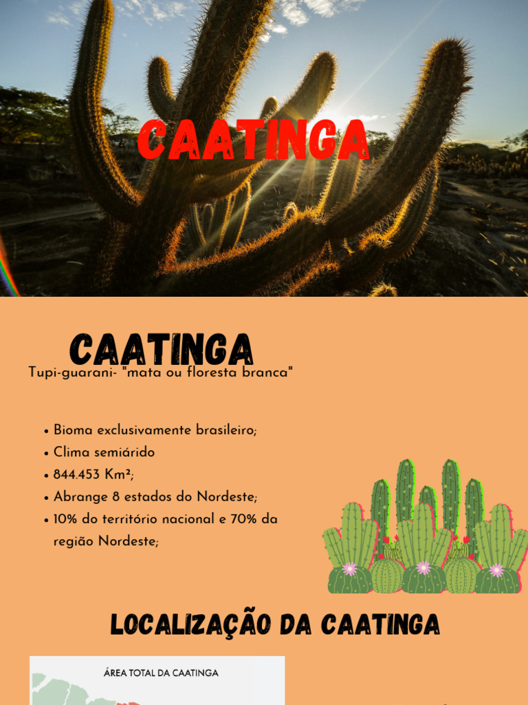 Caatinga | PDF | Árvores | Botânica