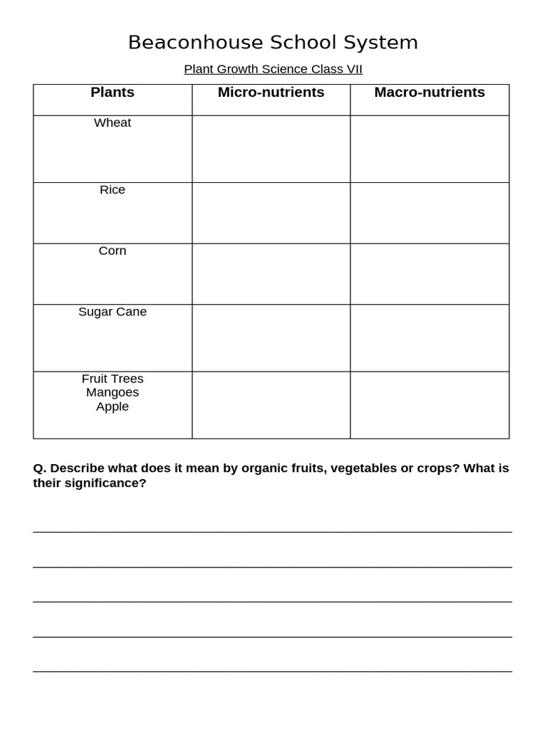 Plant Growth Research Worksheet | PDF