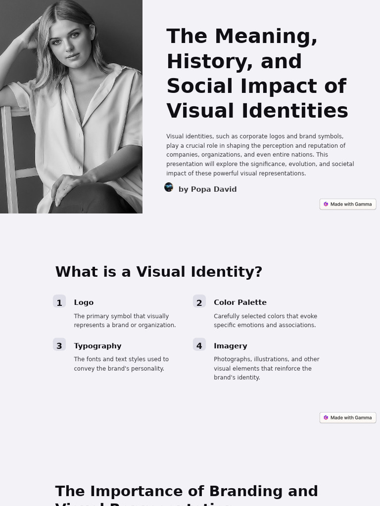 The Meaning History and Social Impact of Visual Identities | PDF
