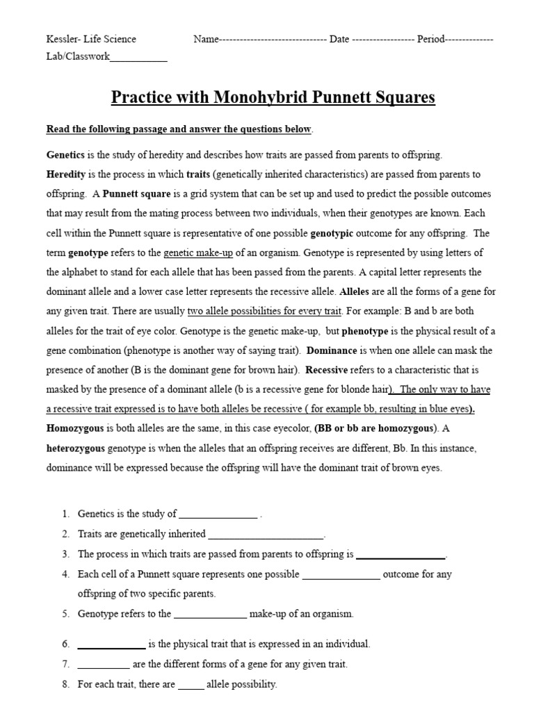 Punnett Square Practice | PDF