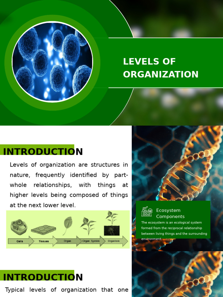 Lesson 1-Levels of Organization | PDF