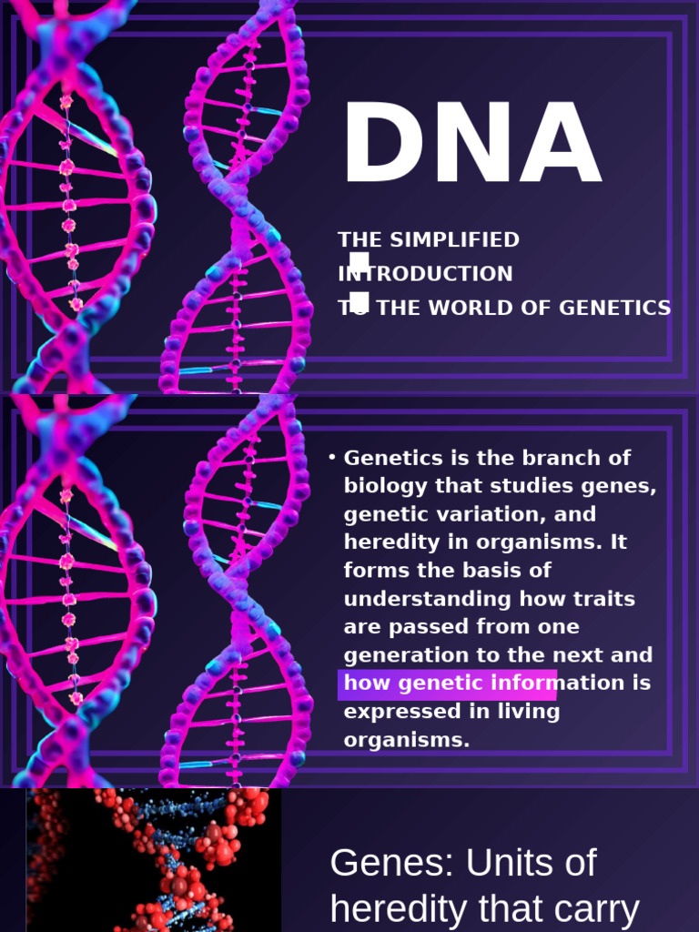 DNA and intro to genetics | PDF