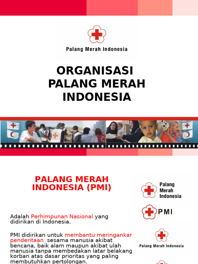 Organisasi PMI | PDF
