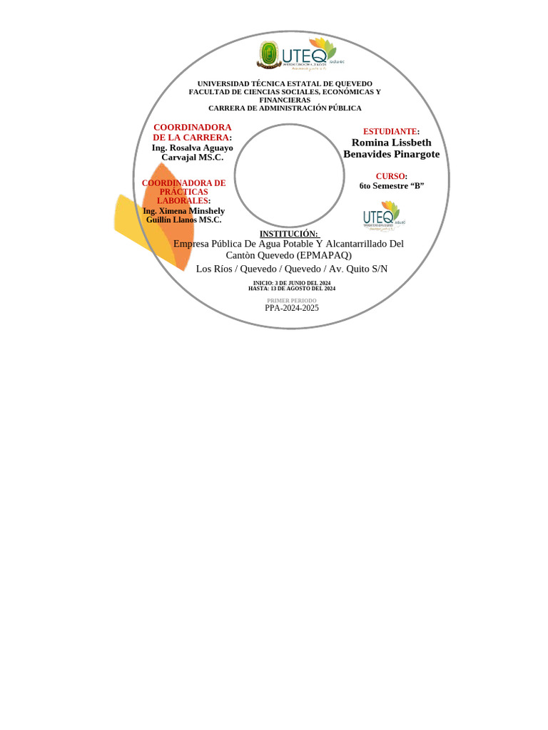 Formato de CD Practicas Laborales | PDF