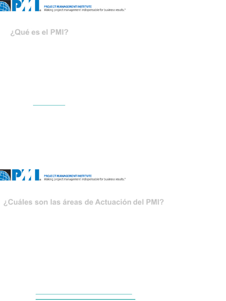 Que Es El PMI | PDF