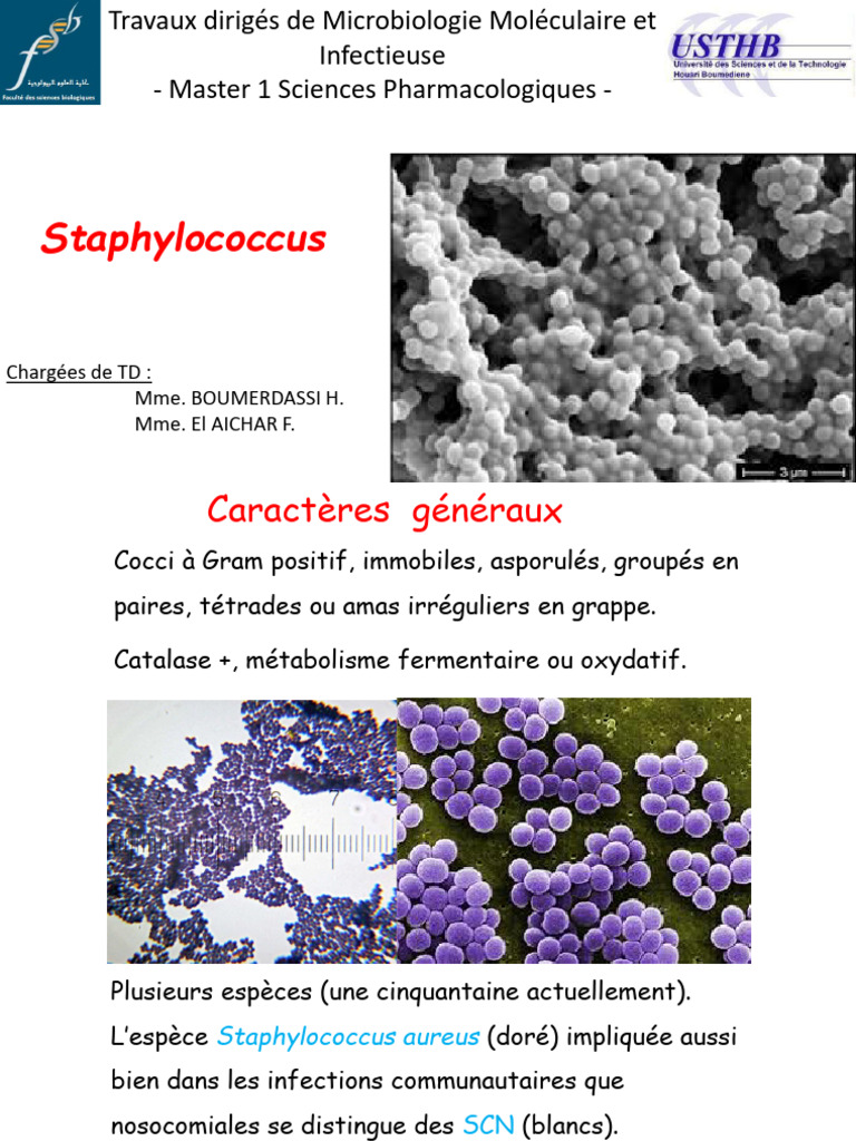 Staphylococcus | PDF