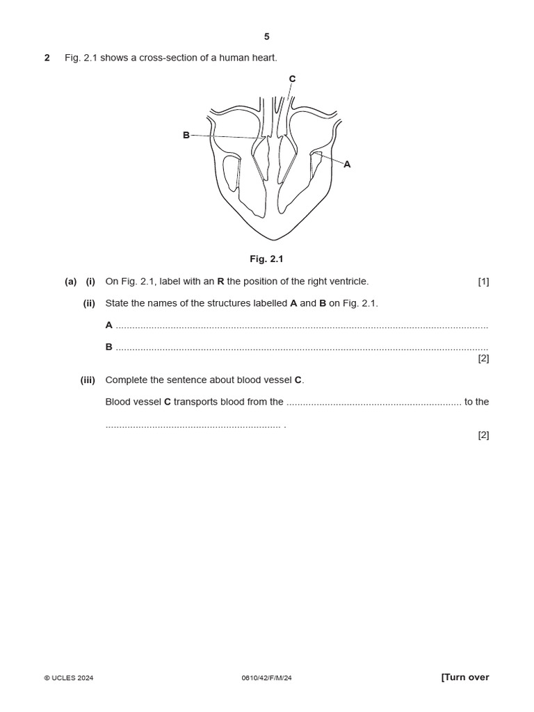 IGCSE Biology 0610 - 42 Paper 4 Feb - Mar 2024 | PDF