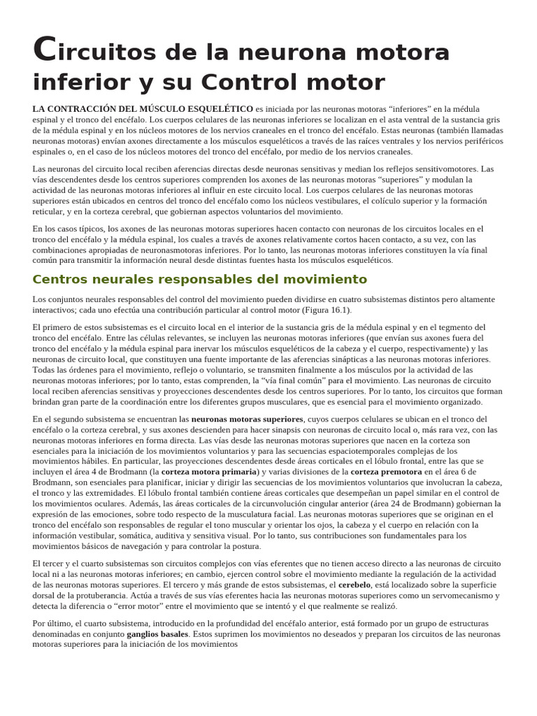 Sistemas Motores Purves | PDF