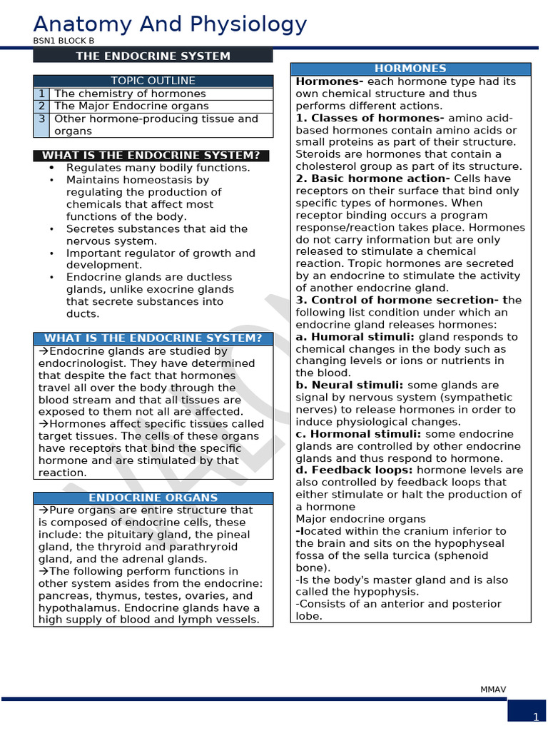 Endocrine System | PDF