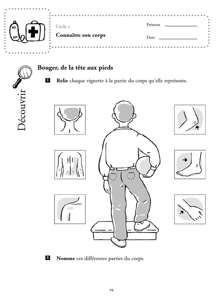 Cycle 1 - Élève - Connaître Son Corps | PDF