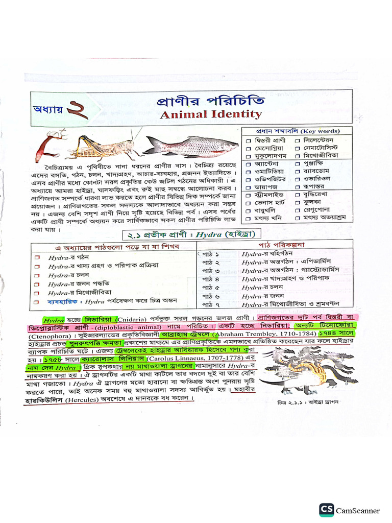 Animal Identity Azmal | PDF