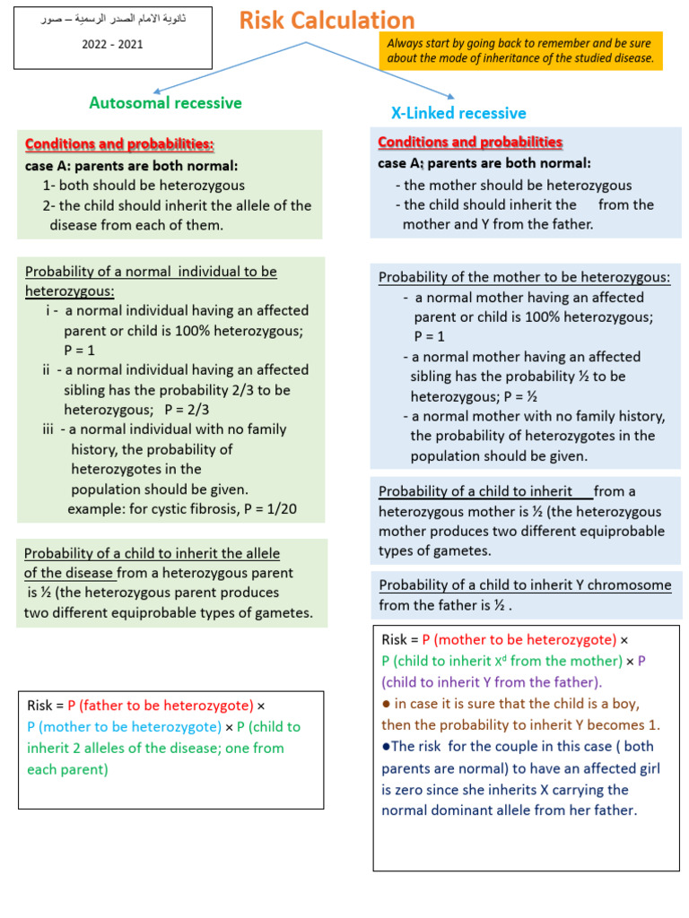 I Am Sharing 'Risk - Summary Map' With You | PDF