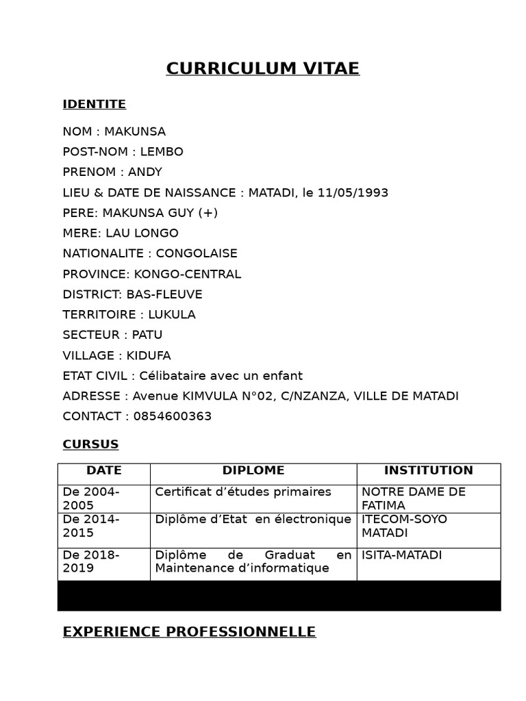 CV Andy | PDF