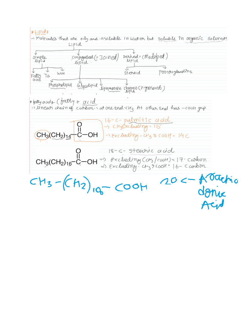Lipids Biomolecules | PDF