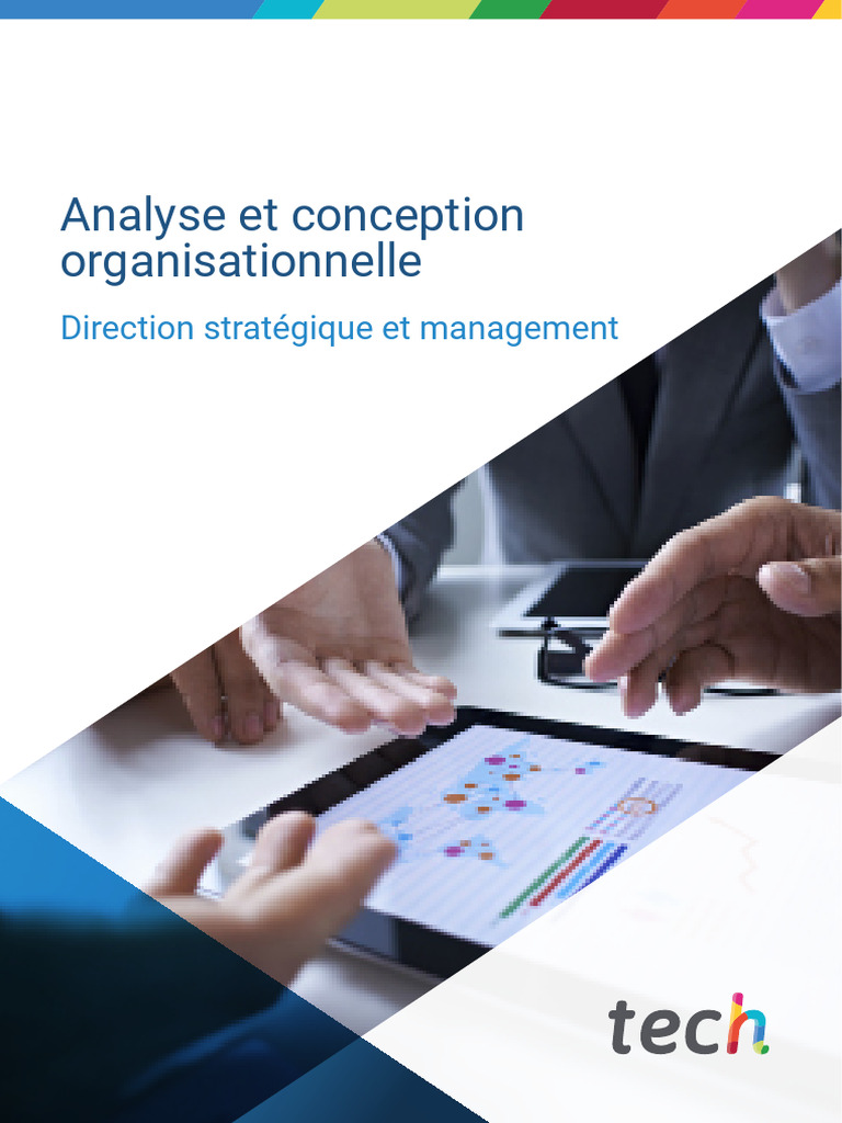 MBA Analyse Et Conception Des Organisations | PDF