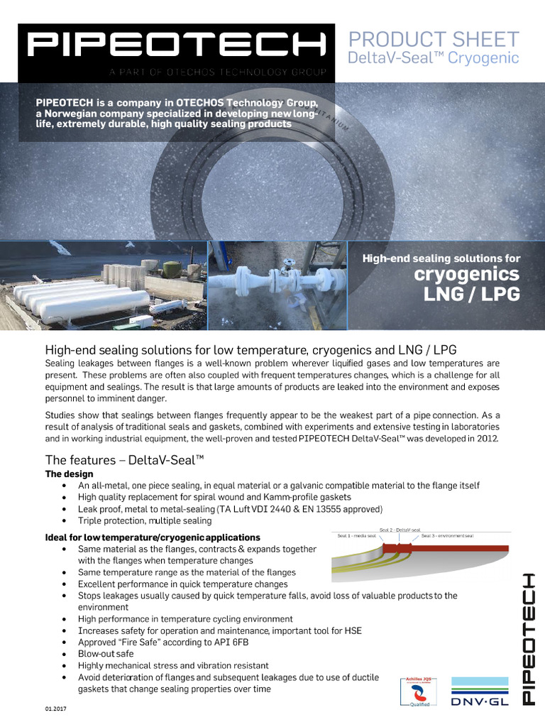 Durable Sealing Solutions for LNG & Cryogenics | PDF
