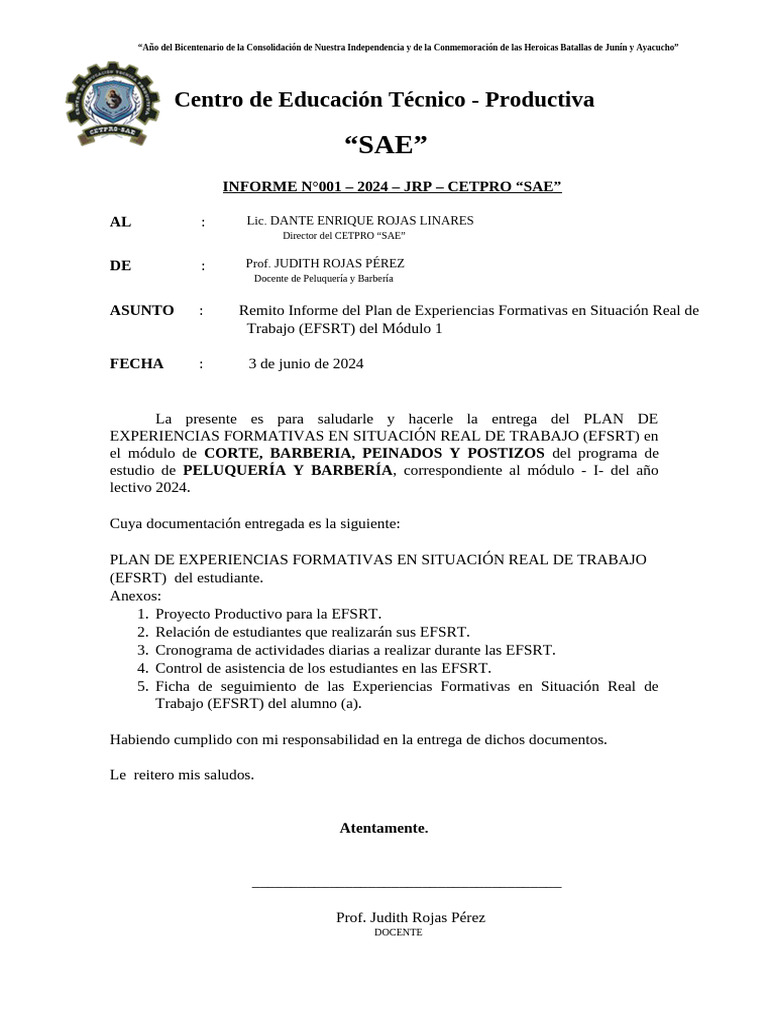 Informe Efsrt-2024 JRP | PDF | Iniciativa empresarial | Informática