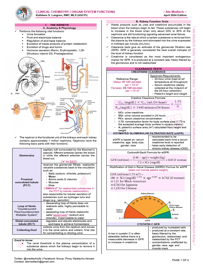 Clinical Chemistry - The Kidneys | PDF