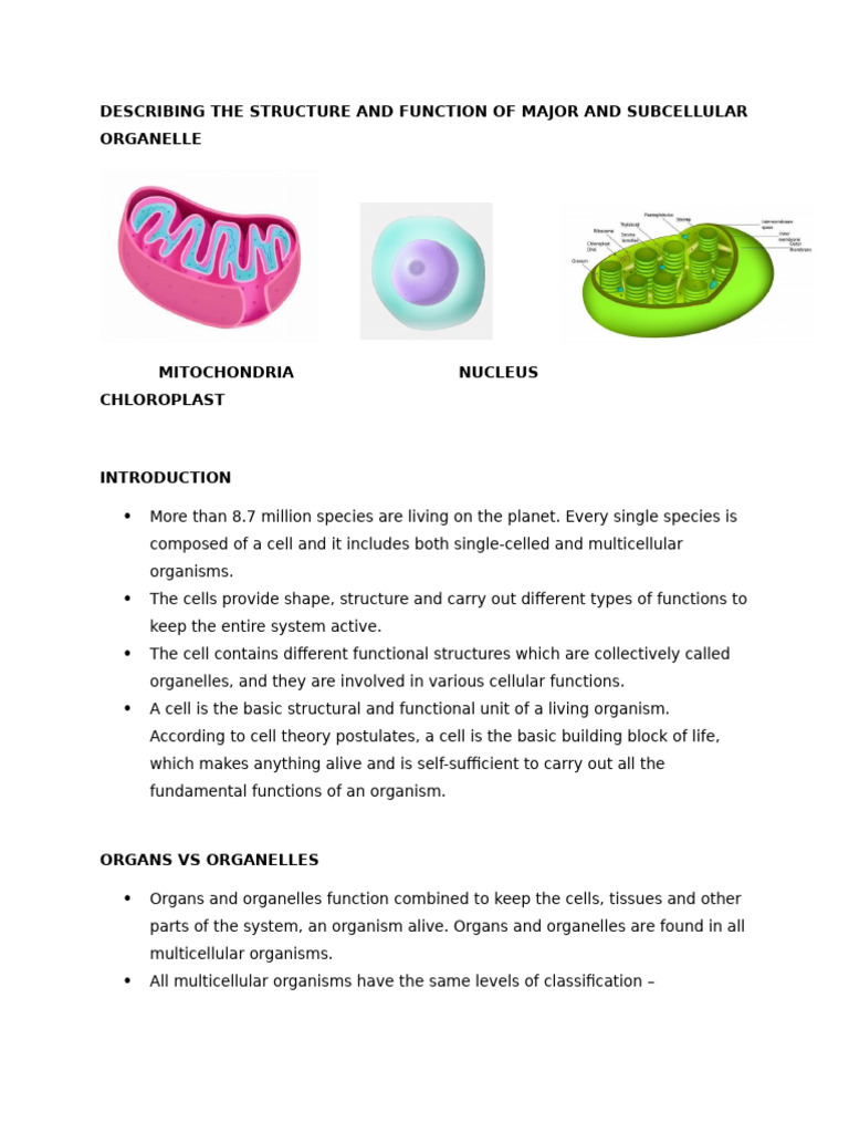 Describing The Structure and Function of Major and Subcellular Organelle | PDF