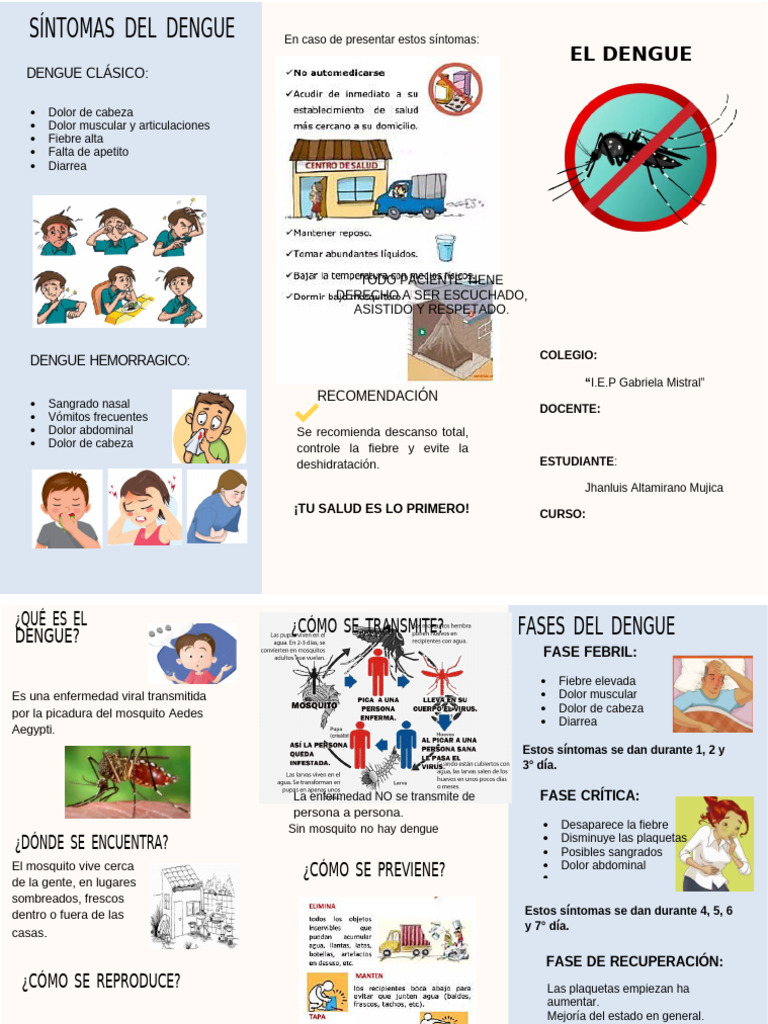 Triptico Sobre El Dengue 1 | PDF