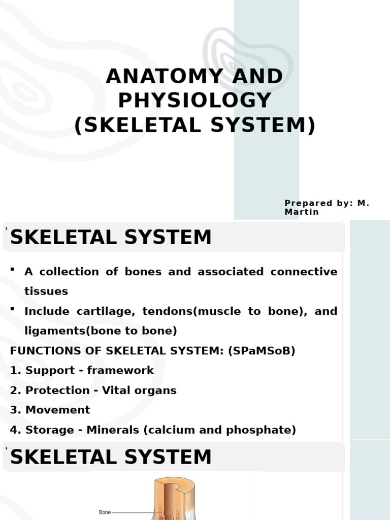 Skeletal System (Anatomy and Physiology for First Year Nursing Students ...