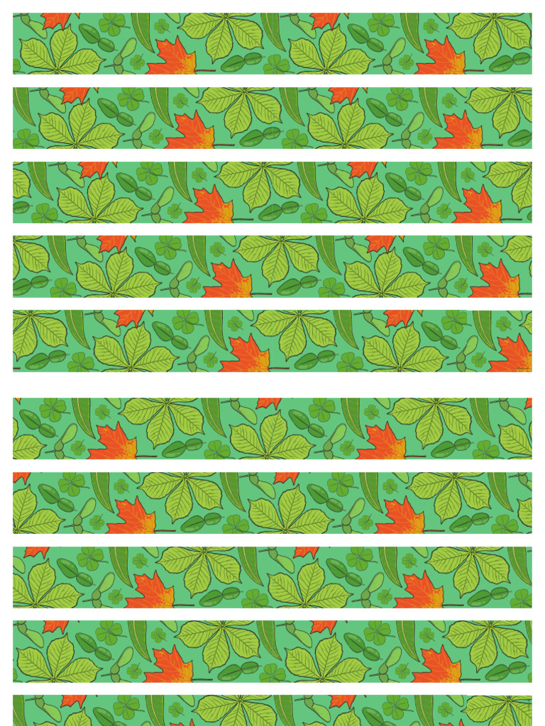 Display Borders - A3 | PDF