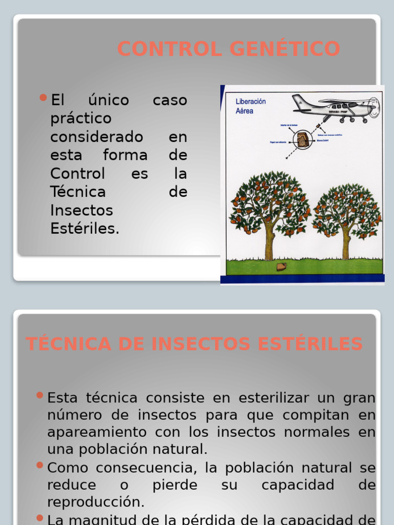 Control Genético | PDF
