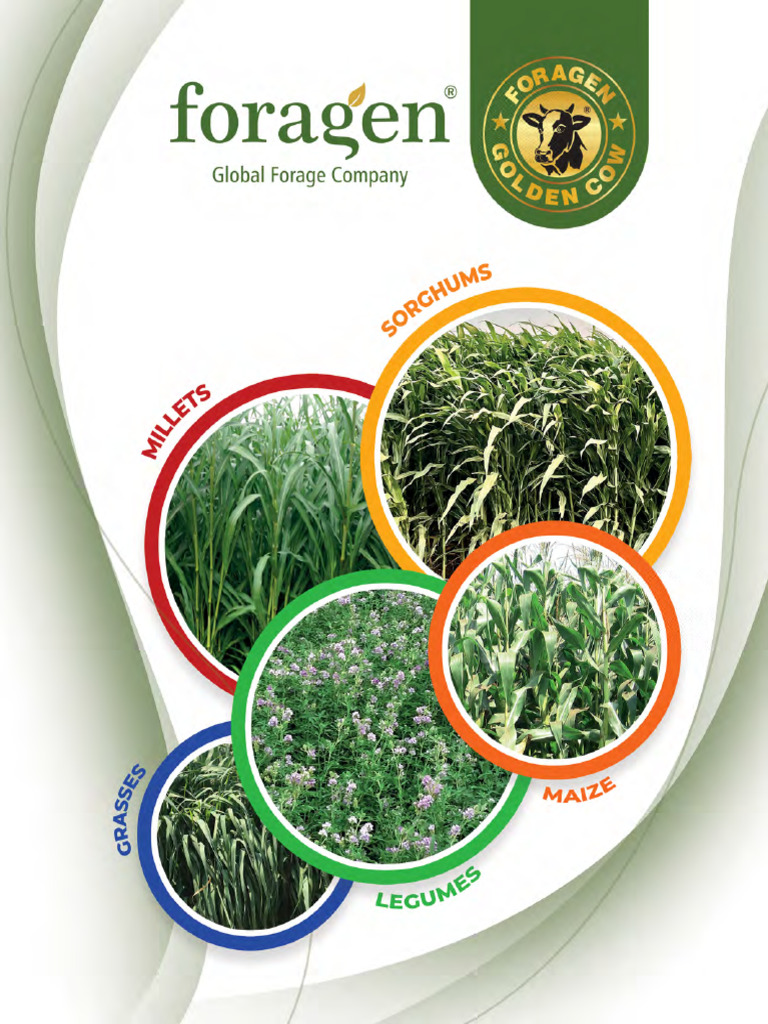 Foragen Product Catalog | PDF
