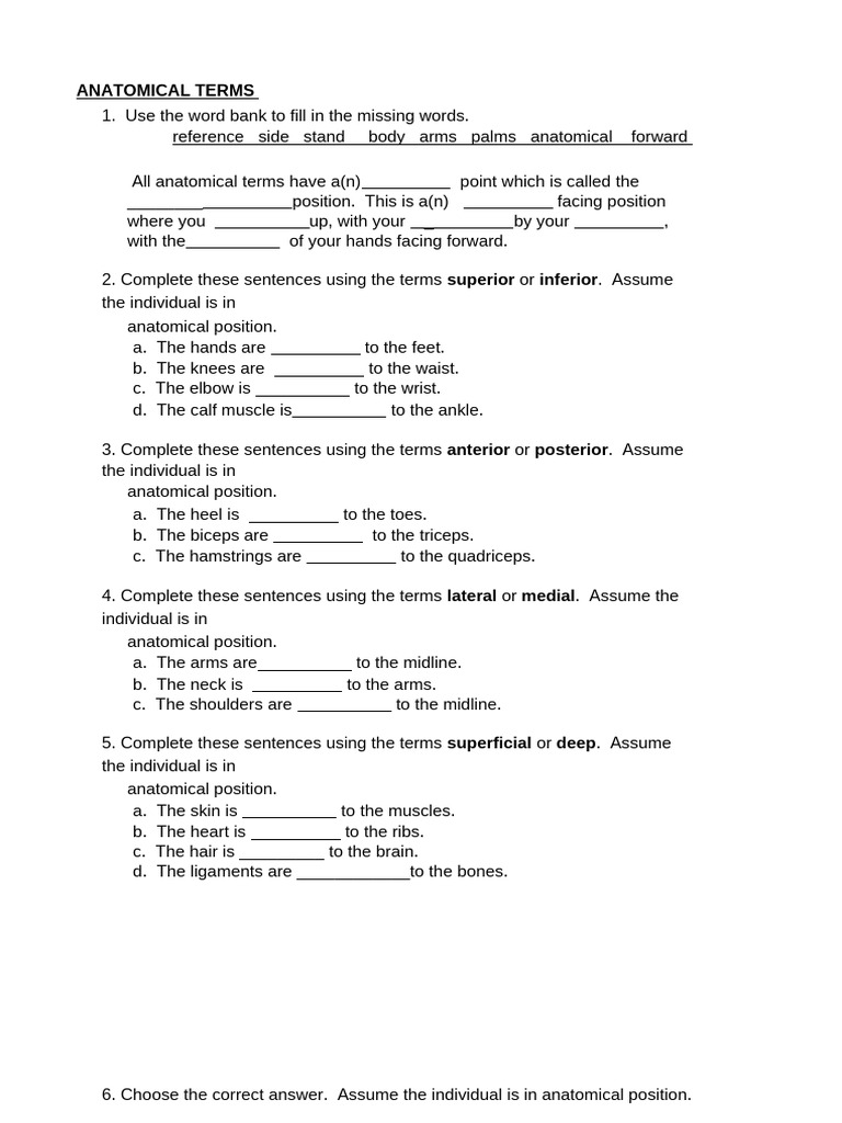 201 Practical 1 Worksheet | PDF