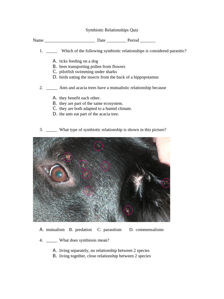 Symbiotic Relationships Quiz | PDF