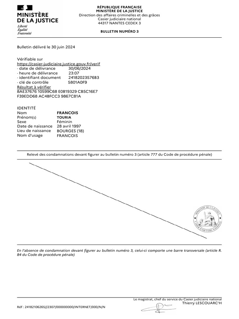 Casier Judiciaire | PDF