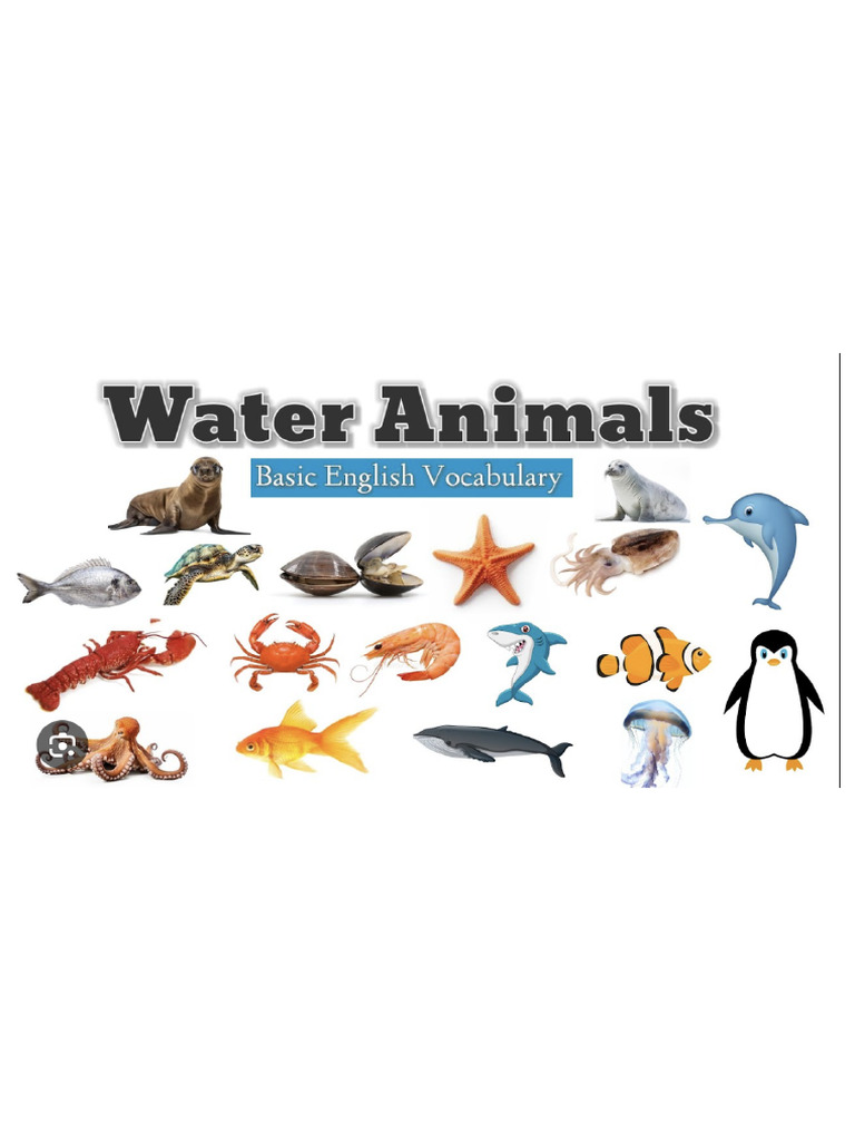 Water Animal | PDF