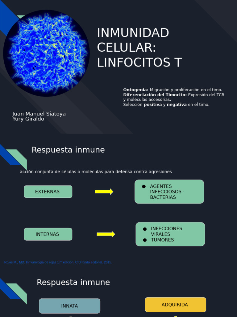 Inmunidad Celular - Linfocitos T | PDF