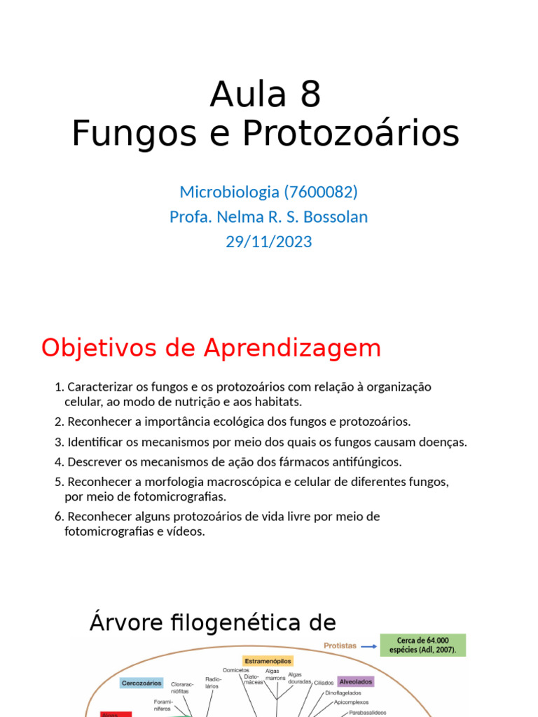 Aula 8 -Fungos e Protozoarios 2023-2 | PDF
