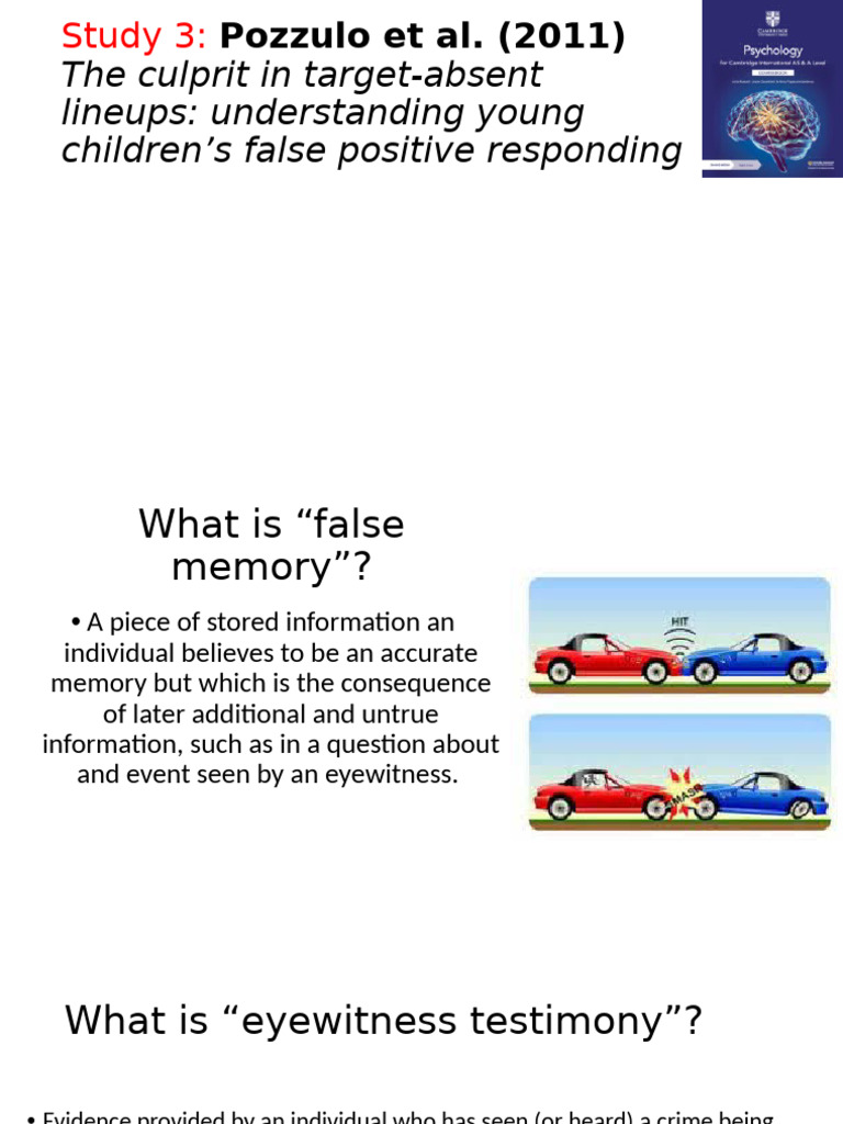 Pozzulo Et Al. | PDF