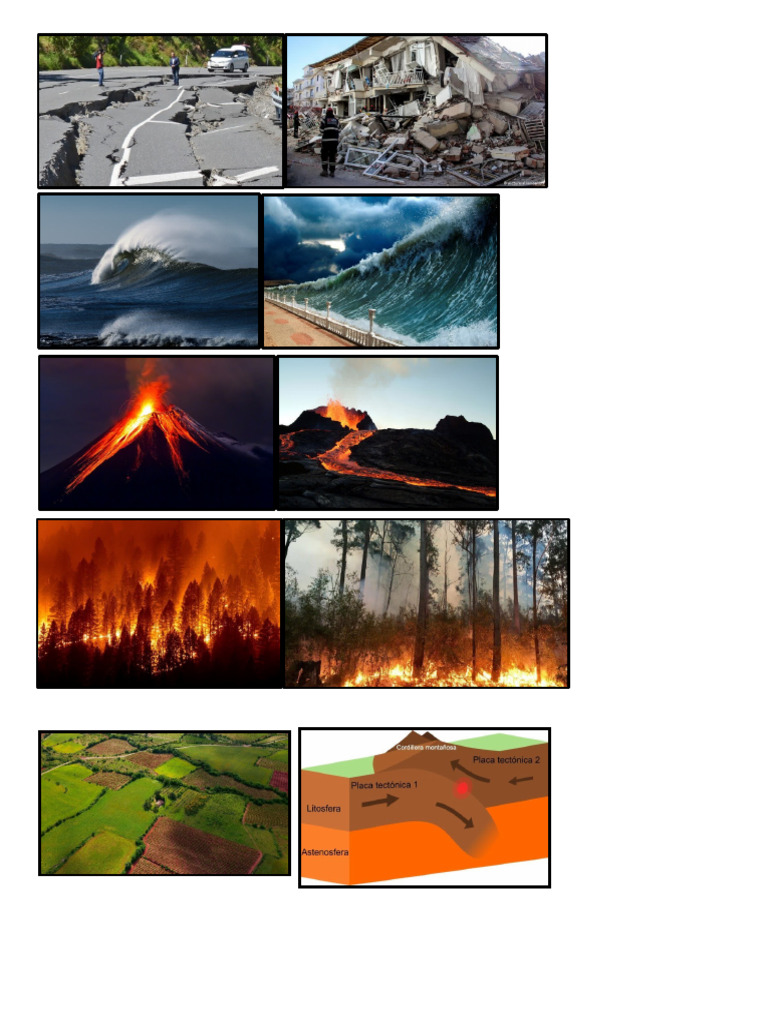 Natural Disaster | PDF