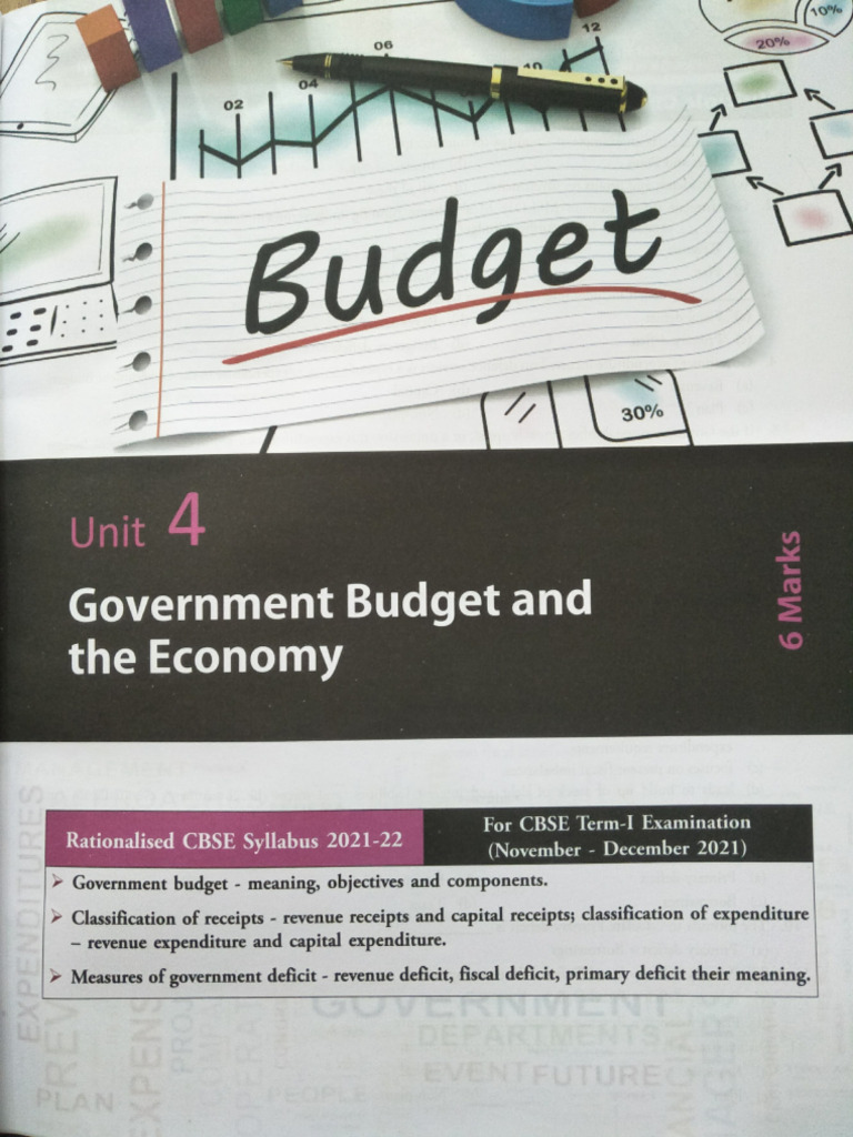 Government Budget | PDF