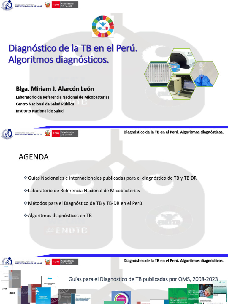 Algoritmos - Diagnóstico de TB y TB-DR en El Perú - 2024 - Julio | PDF