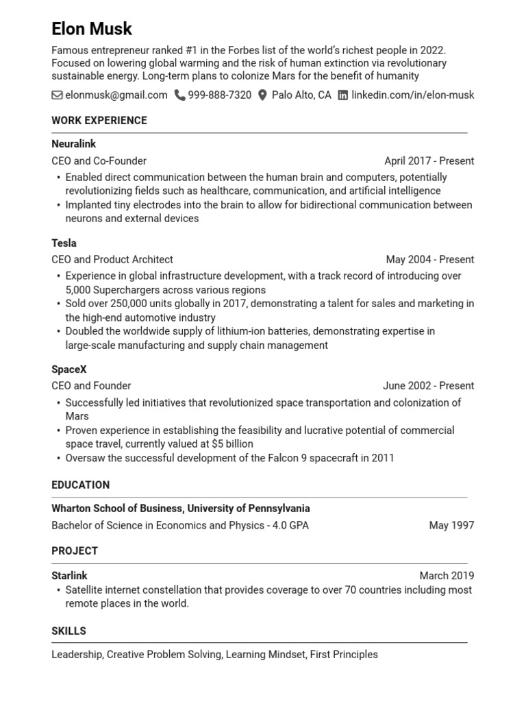 Elon Musk - Resume Professional Template | PDF