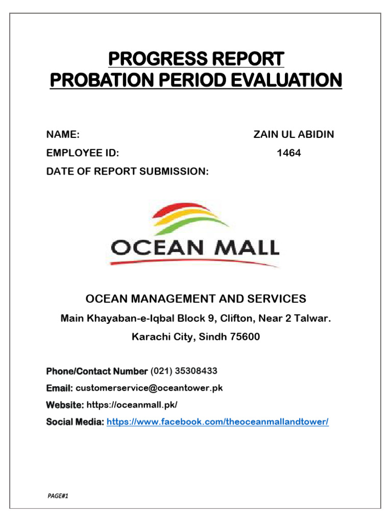 Progress Report 1 | PDF