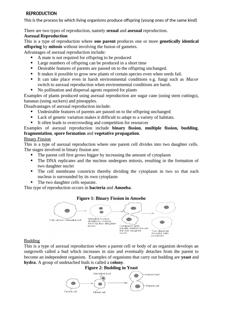 Reproduction Notes 2024 | PDF