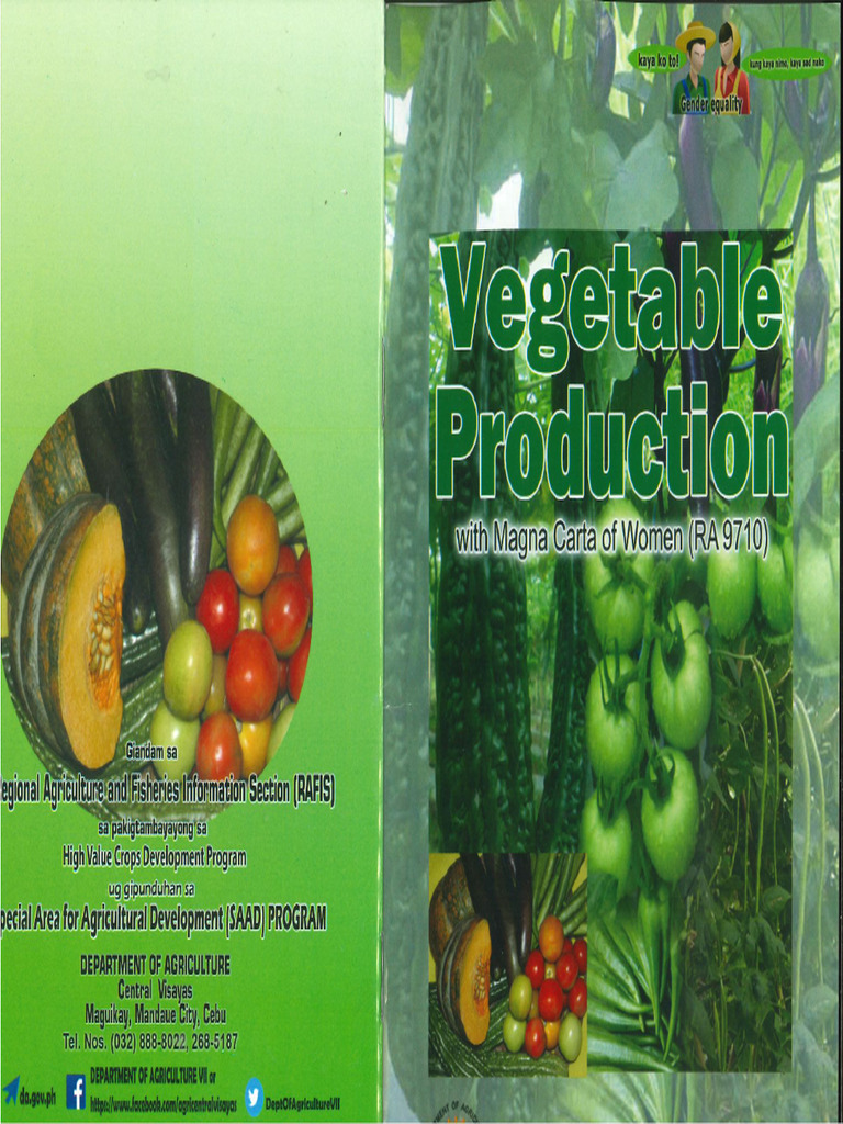 Vegetable Production | PDF